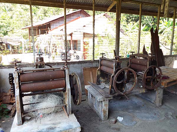 Penang's Rubber Heritage